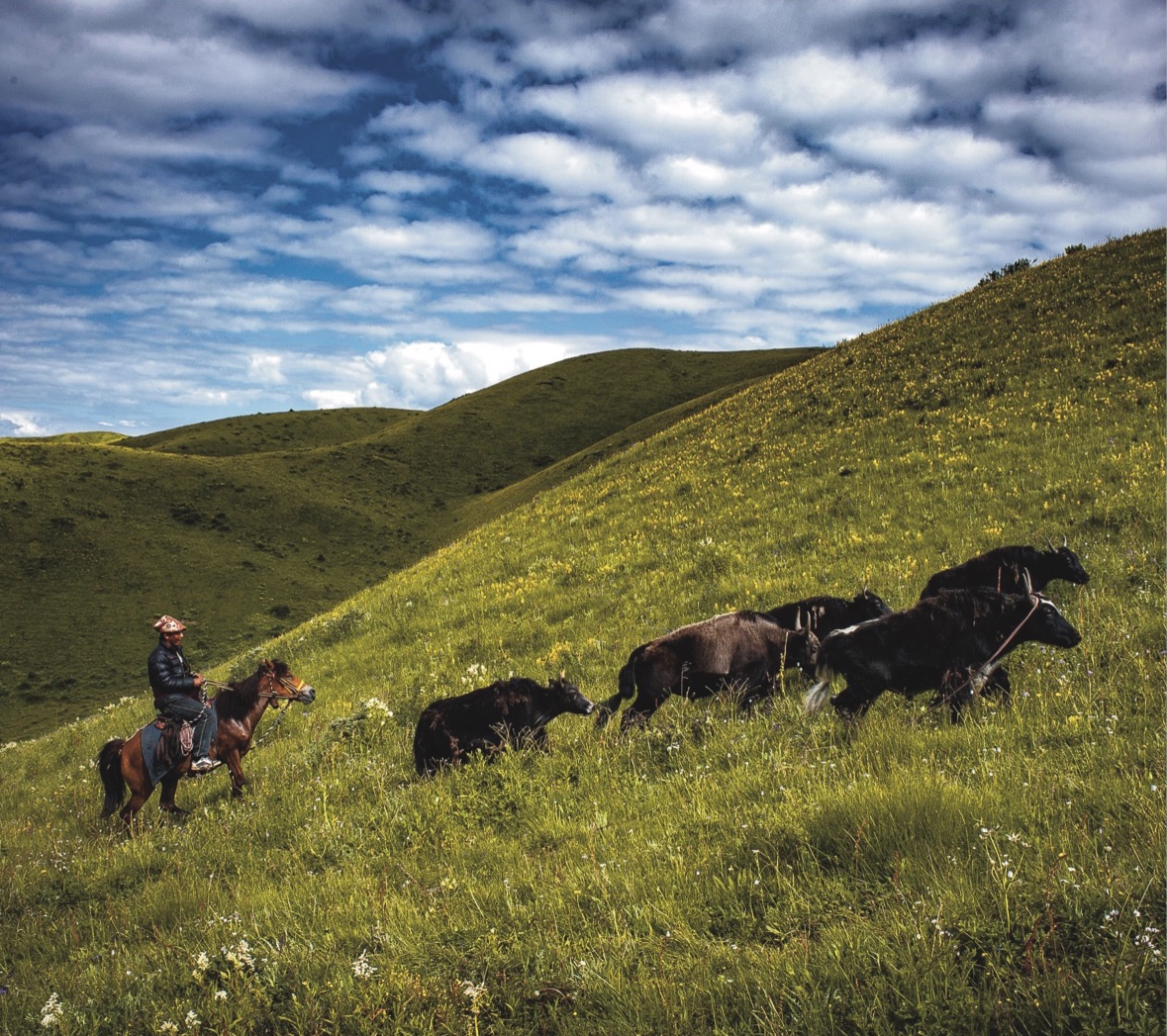 Report spotlights Tibetans persecuted for defending vital, vulnerable ...